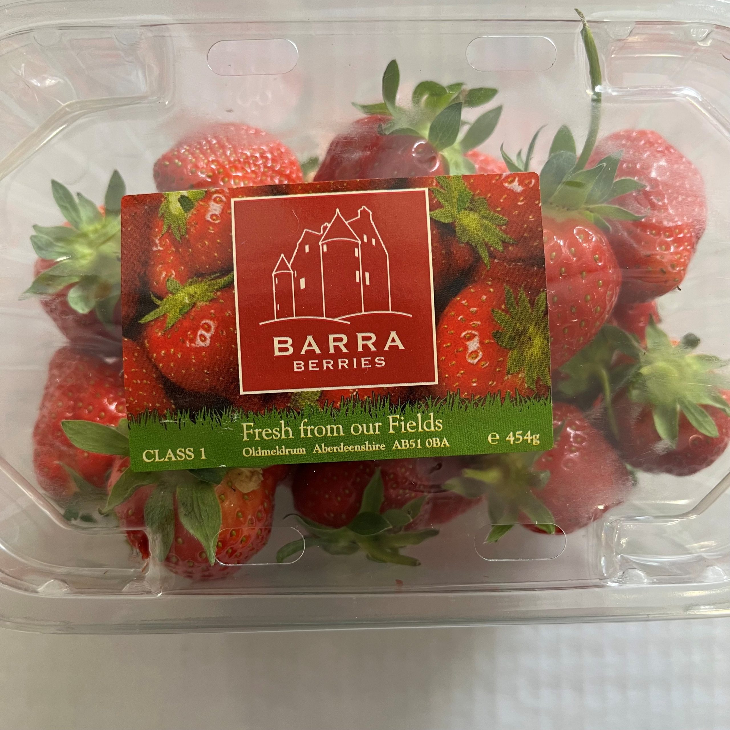 Barra Berries – Strawberries – Speyfruit, Elgin, Moray Fresh fruit ...